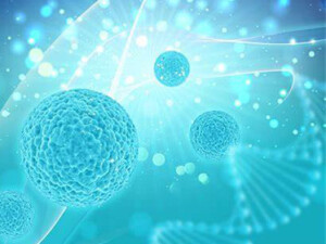 ULUPO～ウルポ～【公式】｜-年齢・性別・肌質- すべての方にお使いいただけるULUPO